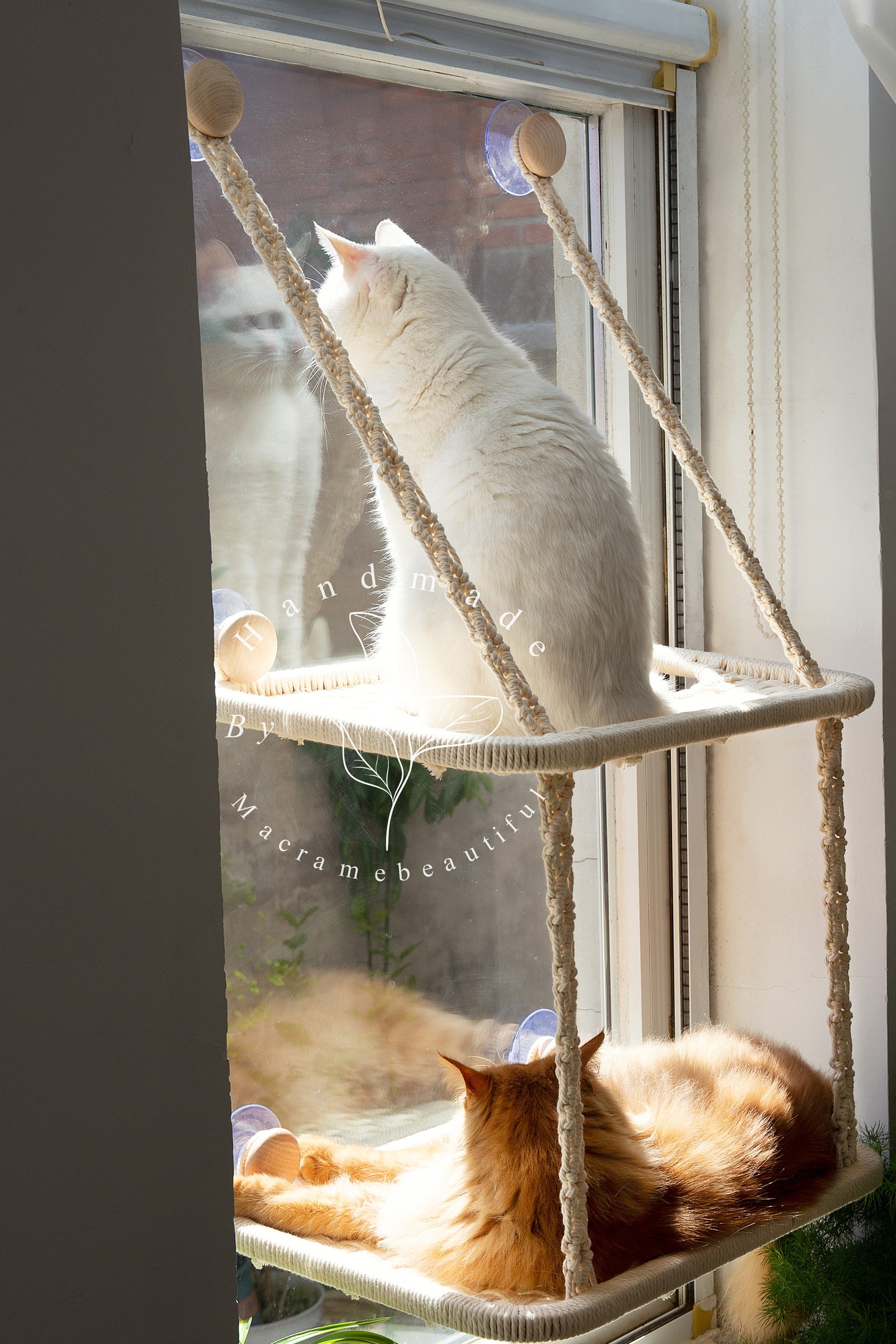 2 Tier Cat Window Perch Cat Window Bed Macrame Cat Hammock Cat Wall ...