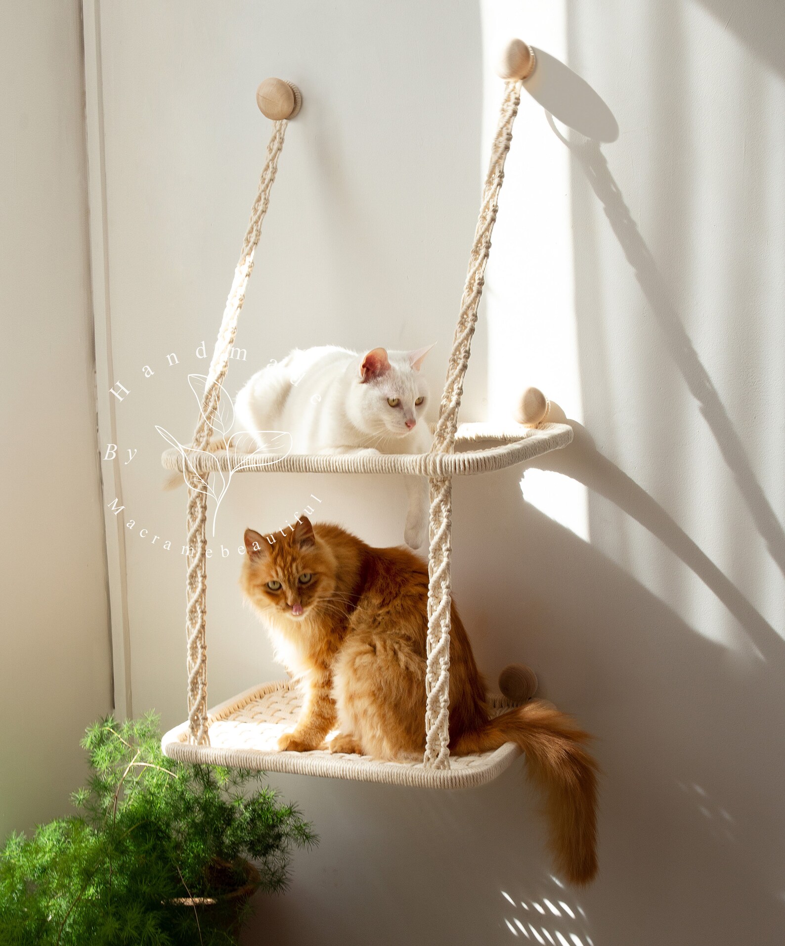 2 Tier Cat Window Perch Cat Window Bed Macrame Cat Hammock Cat Wall ...