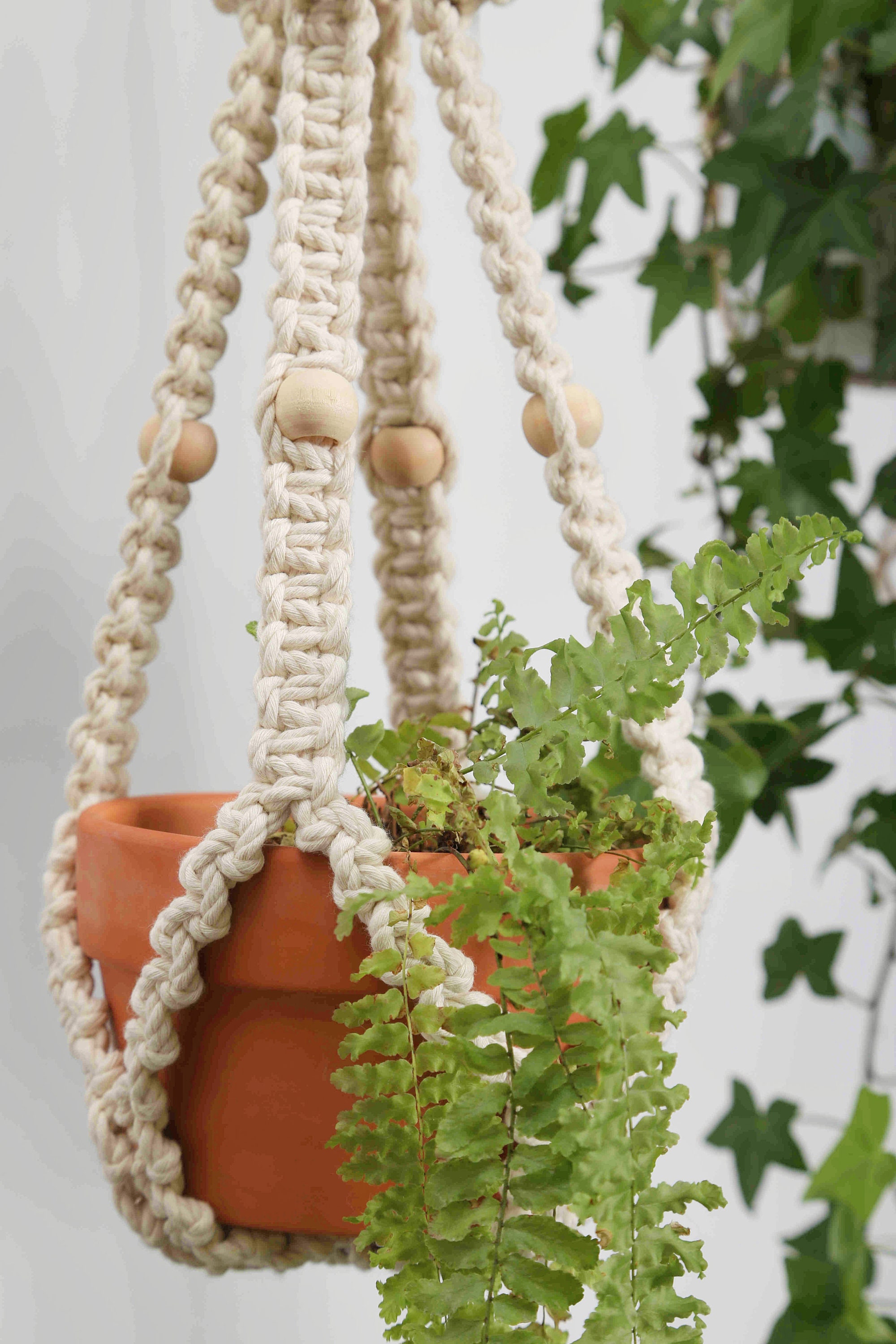 Small Macrame Plant Hanger Short Hanging Planter Mini Wall | Etsy