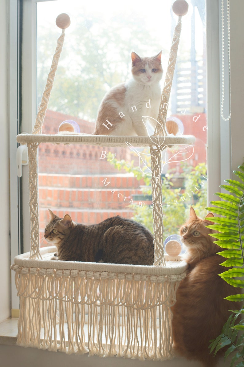 Cat Window Perch Macrame Cat Hammock Window Cat Seat Window Mounted Cat ...