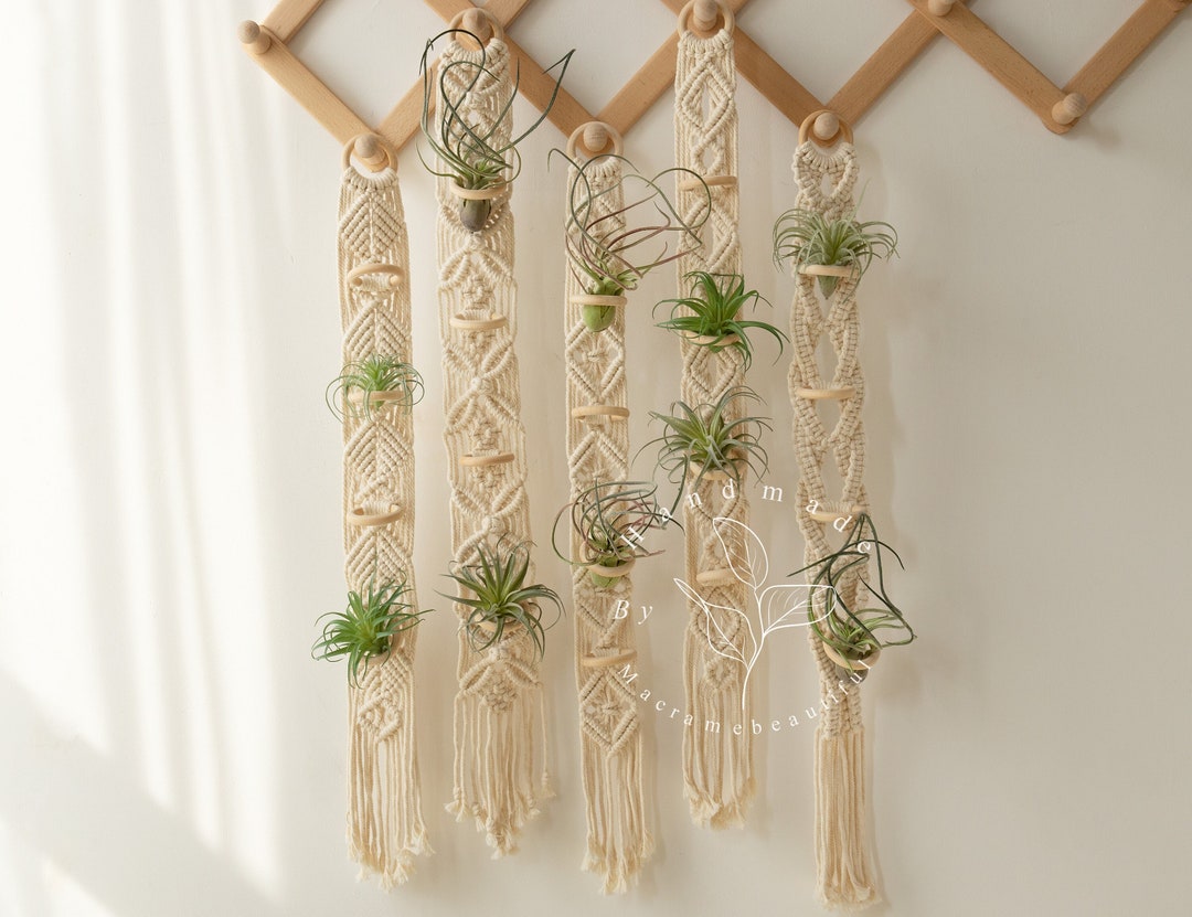 Hanging Air Plant Holder Macrame Air Plant Hanger Small Hanging Planter ...