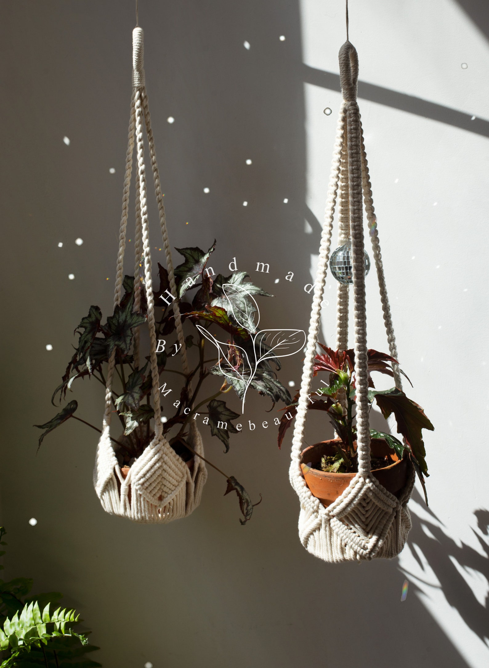 Macrame Plant Hanger No Tassel Hanging Planter Indoor Suncatcher ...