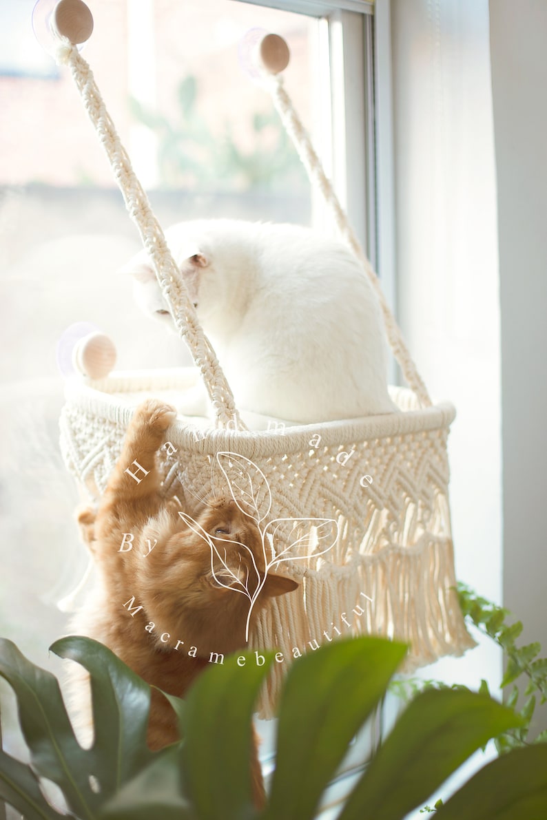 Cat Window Perch Window Cat Seat Macrame Cat Hammock Cat - Etsy
