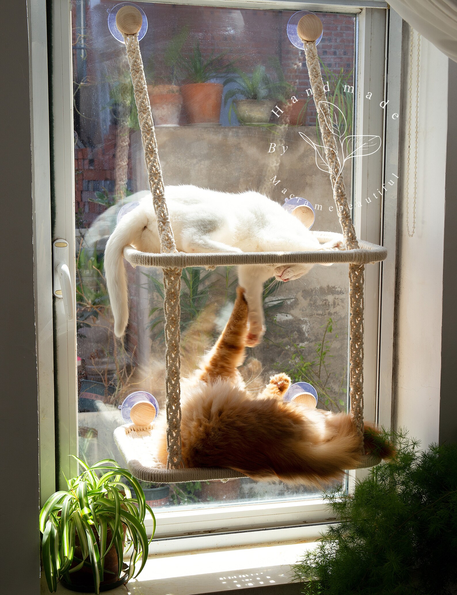 2 Tier Cat Window Perch Cat Window Bed Macrame Cat Hammock Cat Wall ...