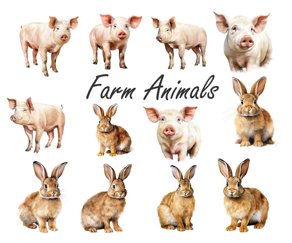 Watercolor Farm Animals PNG, Ranch Clipart Bundle, Farm Animals ...