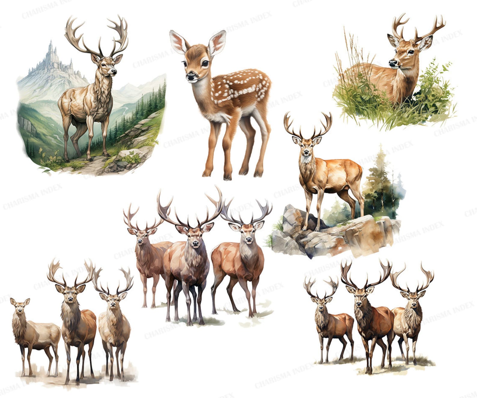 Watercolor Deer PNG Bundle, Deer Clipart Bundle, Deer Sublimation ...