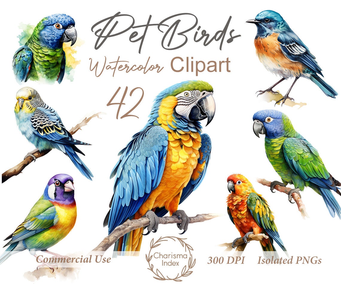 42 Exotic Watercolor Birds Clipart Bundle, Spring Birds Pngs, Tropical ...