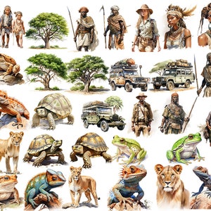 Safari Animal Clip Art Bundle - 90 African Wildlife Watercolor Pngs ...