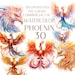 Magical Phoenix Watercolor PNG Set, Mythical Phoenix 30 Clipart Bundle ...