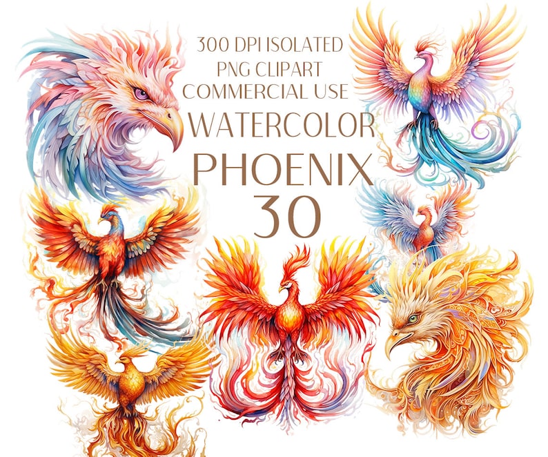 Magical Phoenix Watercolor PNG Set, Mythical Phoenix 30 Clipart Bundle ...
