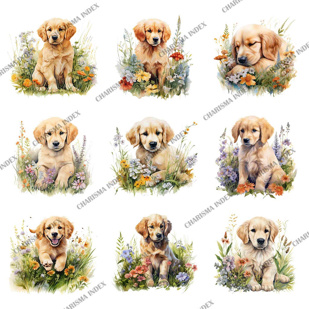 Watercolor Puppy PNG Golden Retriever, Puppy Clipart Bundle ...