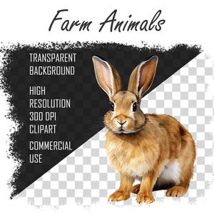 Watercolor Farm Animals PNG, Ranch Clipart Bundle, Farm Animals ...