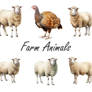 Watercolor Farm Animals PNG, Ranch Clipart Bundle, Farm Animals ...