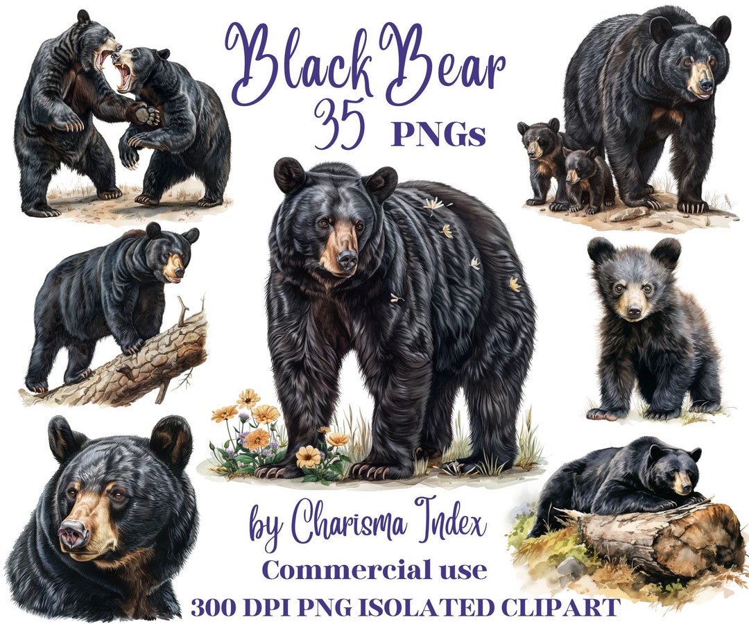 Watercolor Black Bear Clipart Bundle - 35 Realistic PNG Illustrations ...