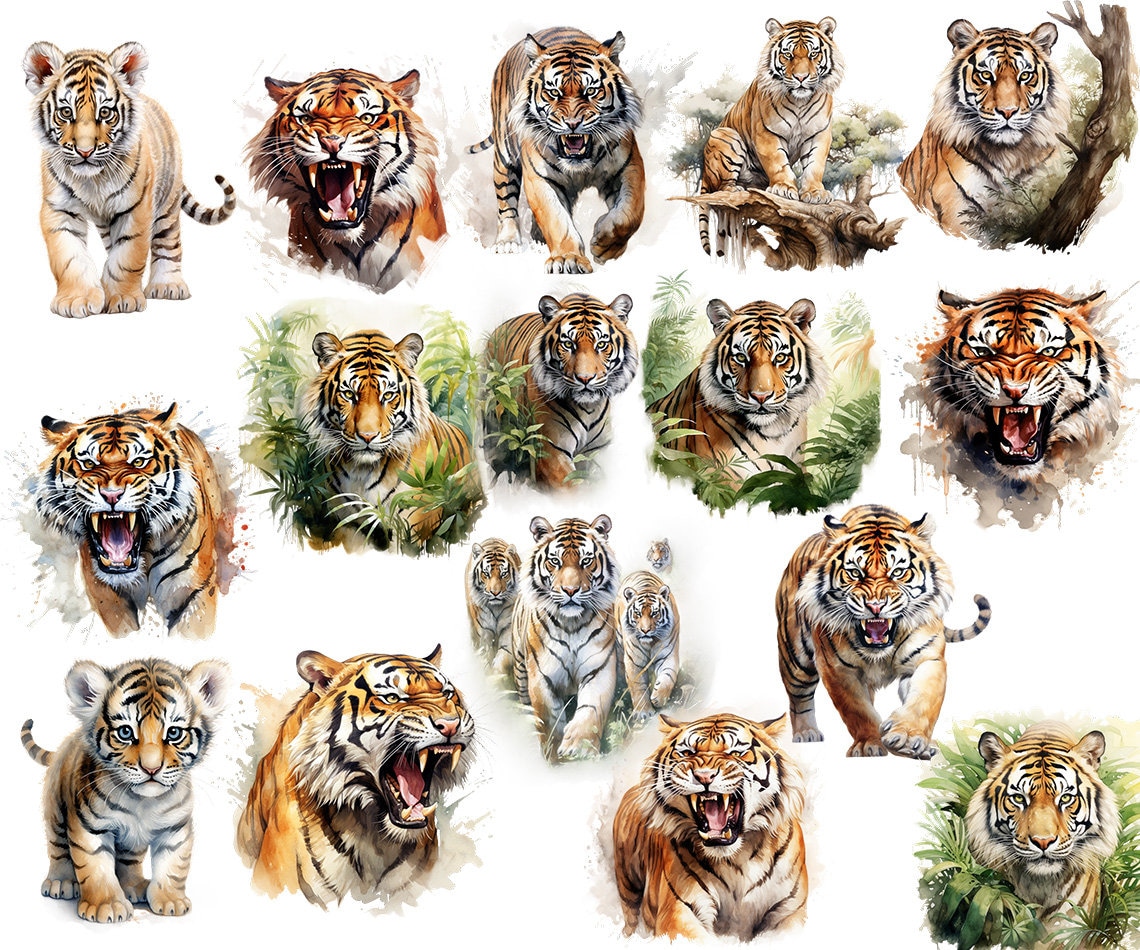Majestic Tiger PNG Clipart Bundle - 64 Watercolor Tiger Designs ...