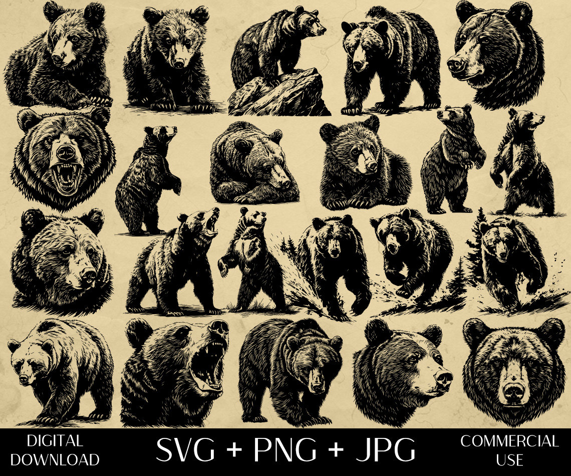 Bear Pack SVG Clipart Bundle, 42 Bear Set Vector Clip Art, Vintage Bear ...