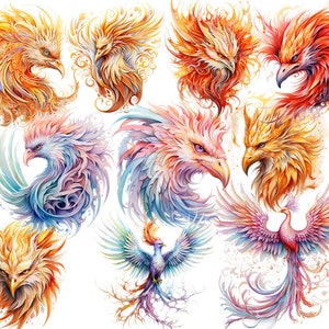 Magical Phoenix Watercolor PNG Set, Mythical Phoenix 30 Clipart Bundle ...