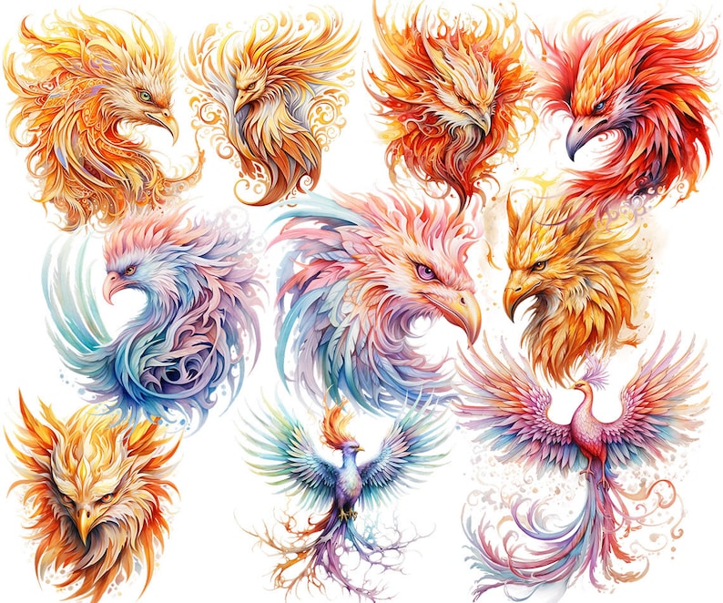 Magical Phoenix Watercolor PNG Set, Mythical Phoenix 30 Clipart Bundle ...