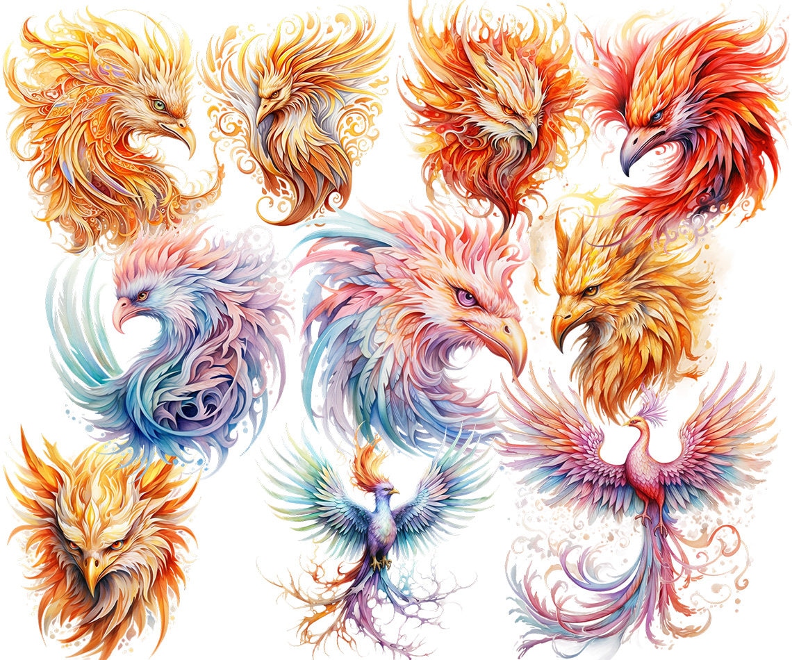 Magical Phoenix Watercolor PNG Set, Mythical Phoenix 30 Clipart Bundle ...
