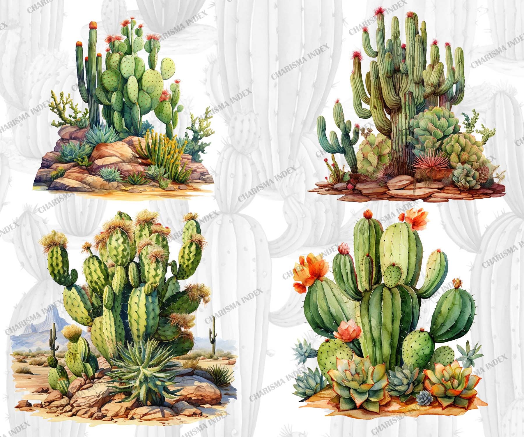 Watercolor Cactus Clipart PNG Set, Cactus Clip Art Bundle, Desert ...
