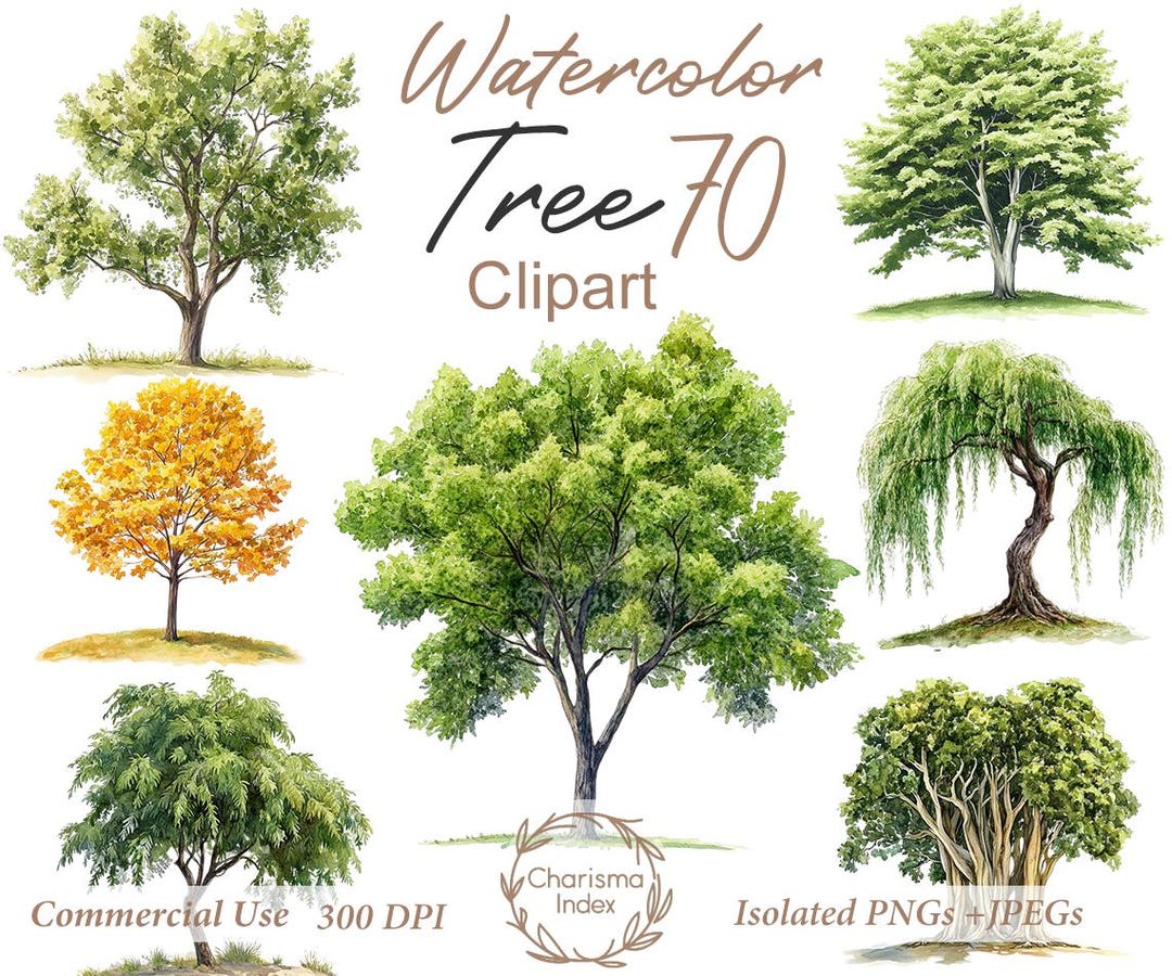 Watercolor Tree Clipart Bundle, 70 Forest PNG Trees, Sublimation ...