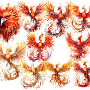 Magical Phoenix Watercolor PNG Set, Mythical Phoenix 30 Clipart Bundle ...