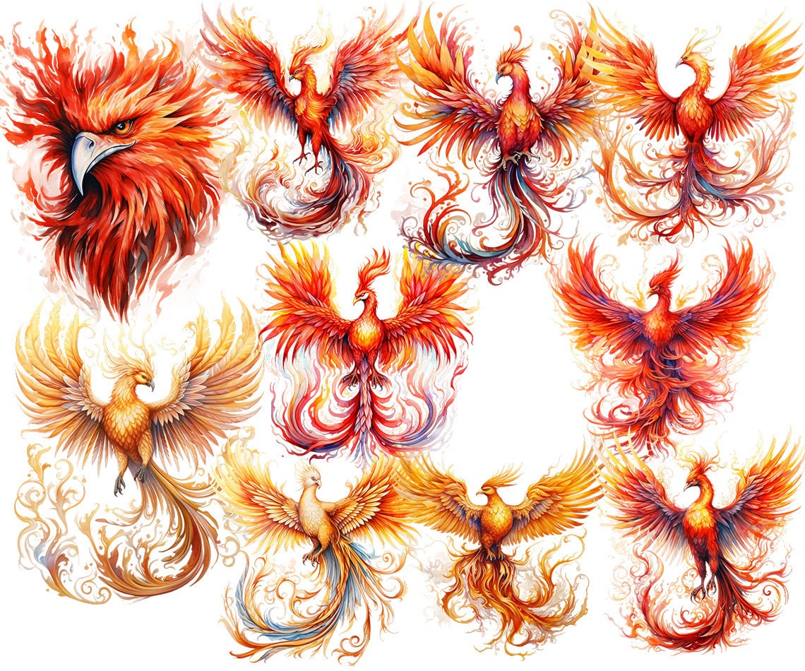 Magical Phoenix Watercolor PNG Set, Mythical Phoenix 30 Clipart Bundle ...