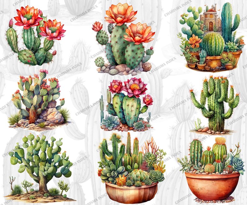 Watercolor Cactus Clipart PNG Set, Cactus Clip Art Bundle, Desert ...