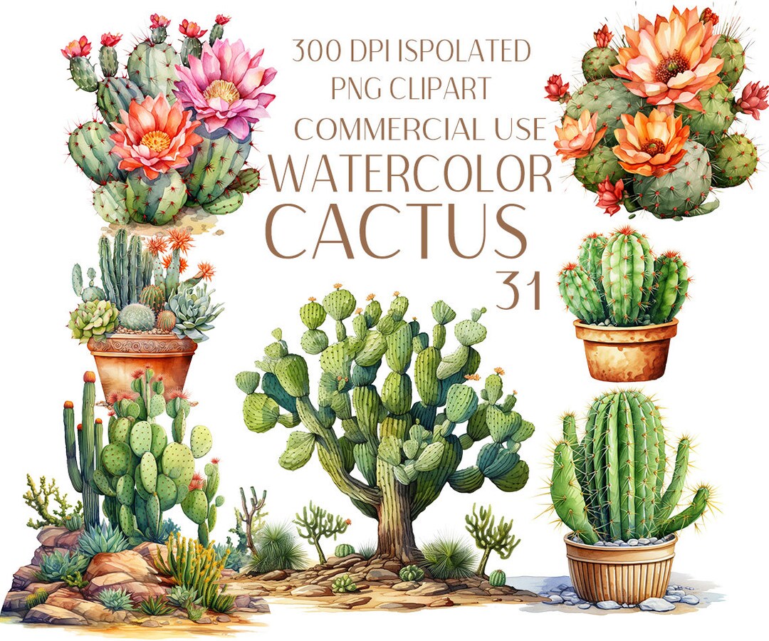 Watercolor Cactus Clipart PNG Set, Cactus Clip Art Bundle, Desert ...