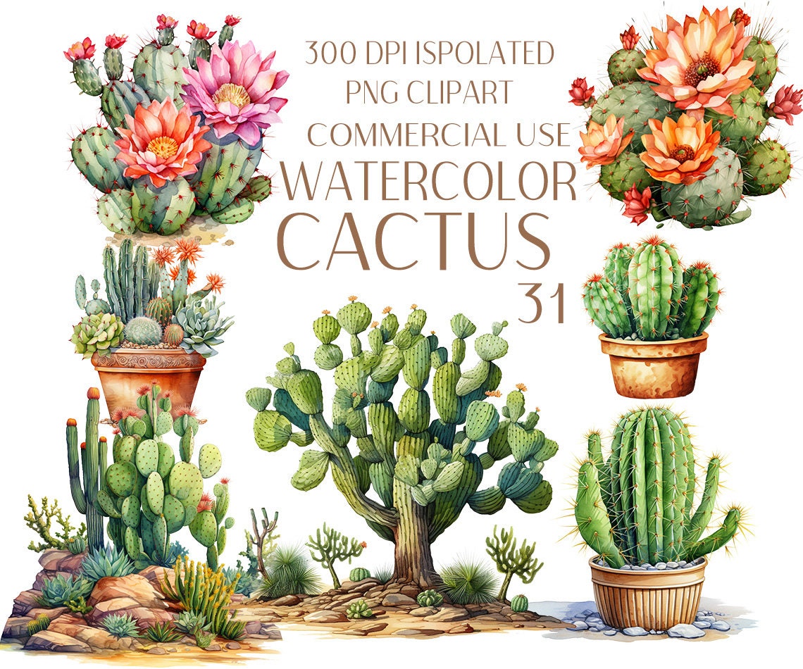 Watercolor Cactus Clipart PNG Set, Cactus Clip Art Bundle, Desert ...
