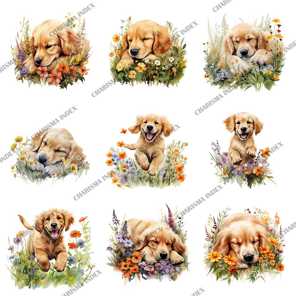 Watercolor Puppy PNG Golden Retriever, Puppy Clipart Bundle ...