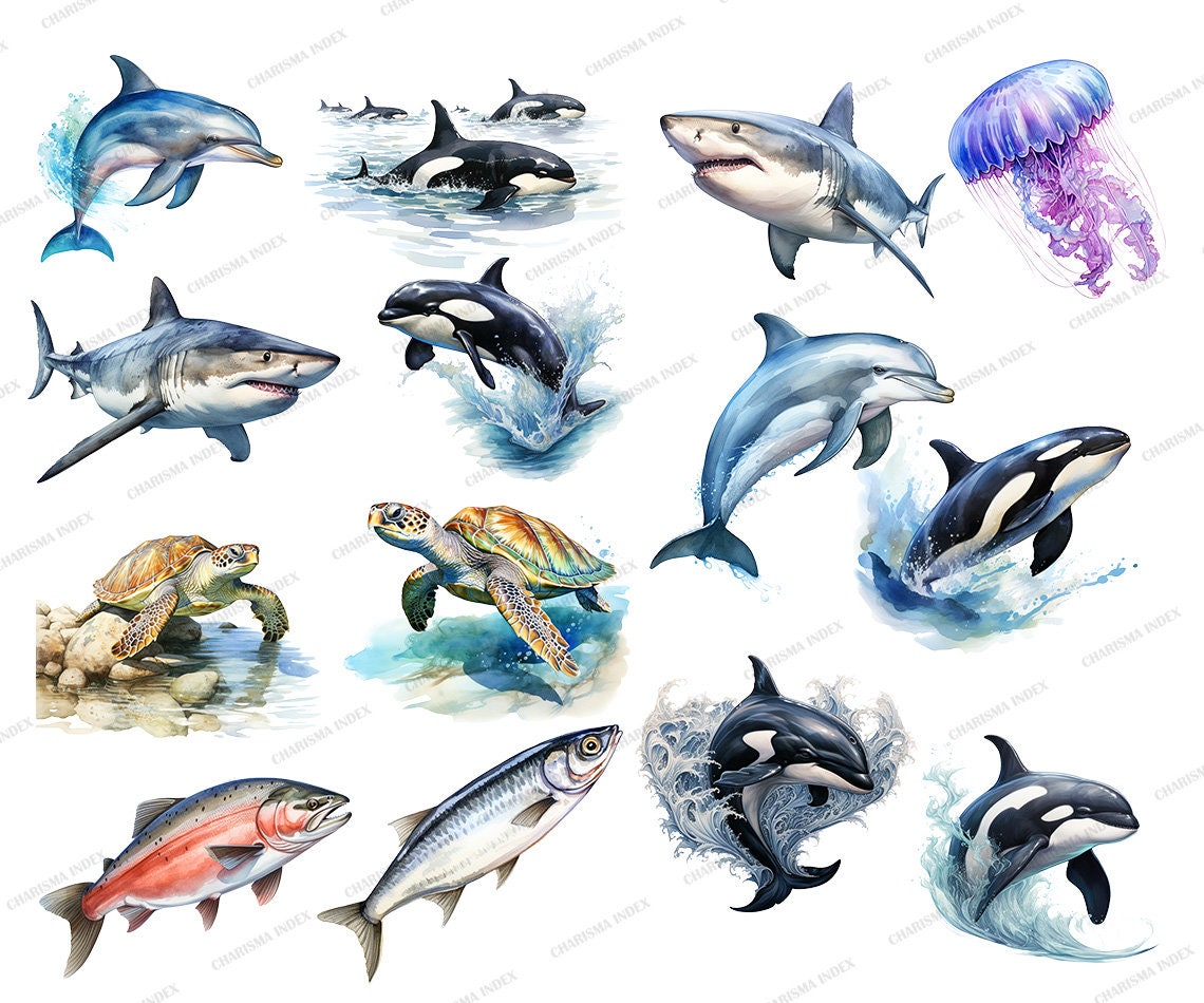 Under Sea Creatures Bundle, Watercolor Ocean Life Clipart Set of Fish ...