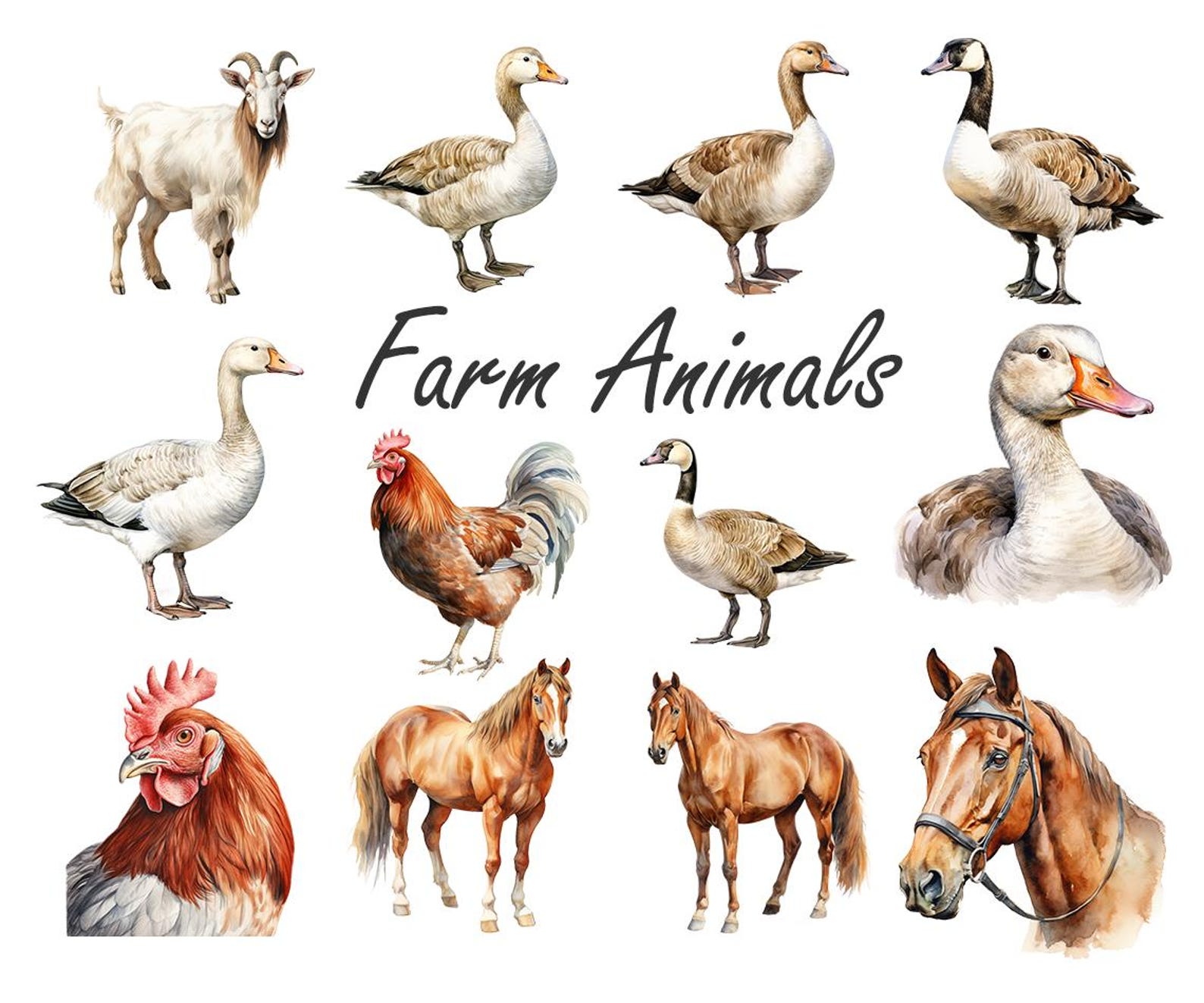 Watercolor Farm Animals PNG, Ranch Clipart Bundle, Farm Animals ...