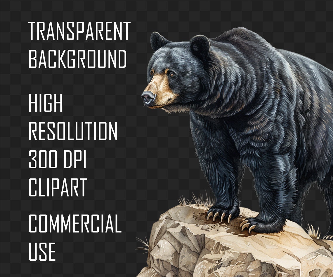 Watercolor Black Bear Clipart Bundle 35 Realistic PNG Illustrations for ...