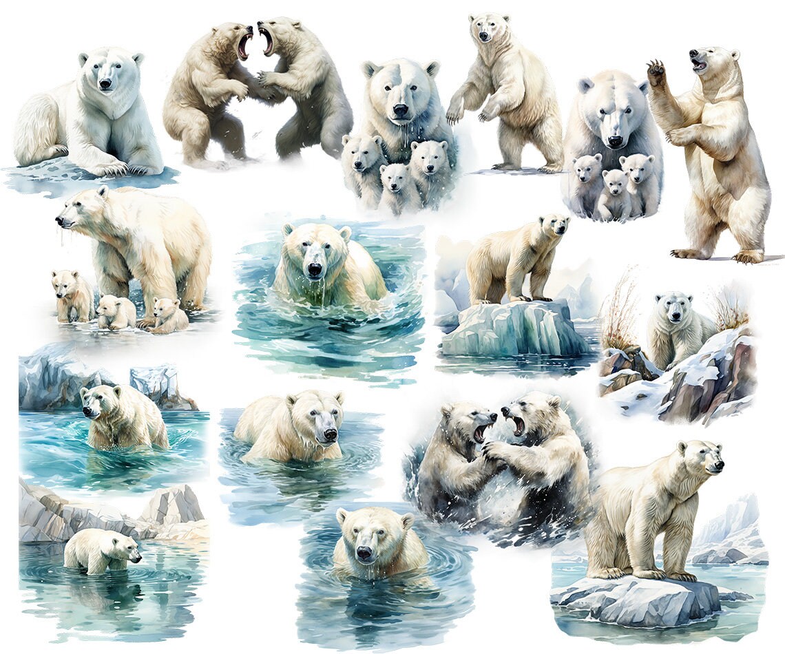 Polar Bear Watercolor Pngs, Arctic Wildlife Clip Art, Polar Bear ...