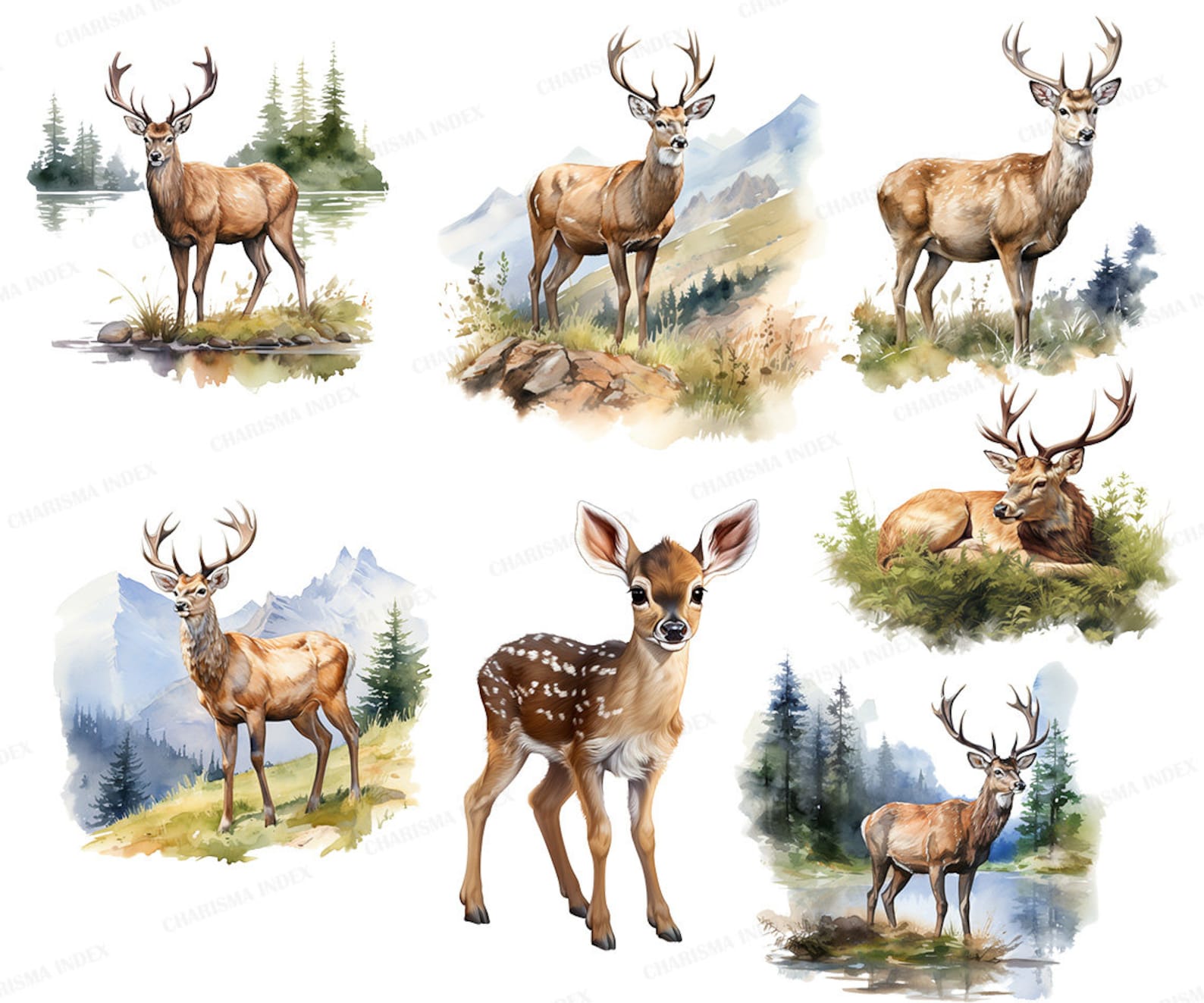 Watercolor Deer PNG Bundle, Deer Clipart Bundle, Deer Sublimation ...
