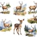 Watercolor Deer PNG Bundle, Deer Clipart Bundle, Deer Sublimation ...