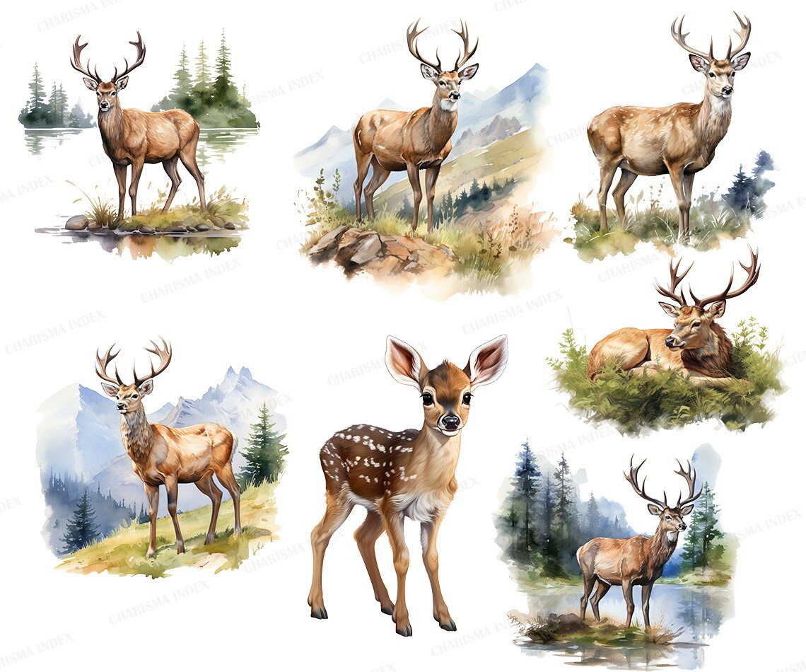 Watercolor Deer PNG Bundle, Deer Clipart Bundle, Deer Sublimation ...