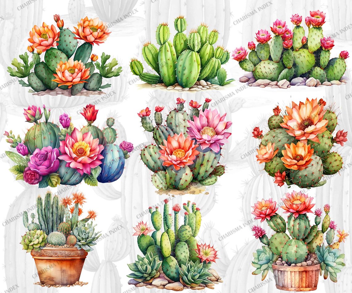 Watercolor Cactus Clipart PNG Set, Cactus Clip Art Bundle, Desert ...