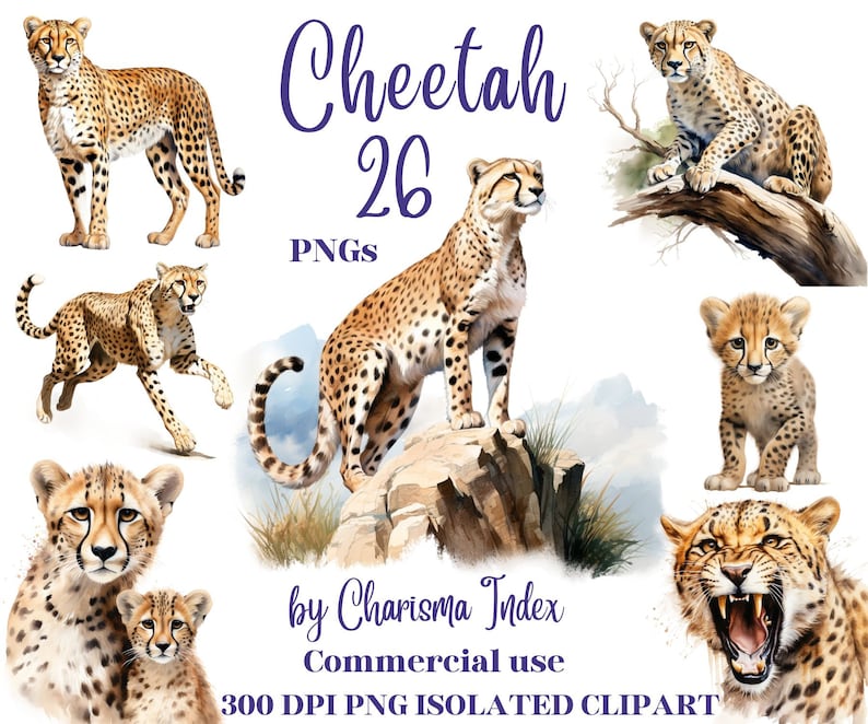 Watercolor Cheetah Clipart Bundle - 26 Realistic PNG Illustrations for ...