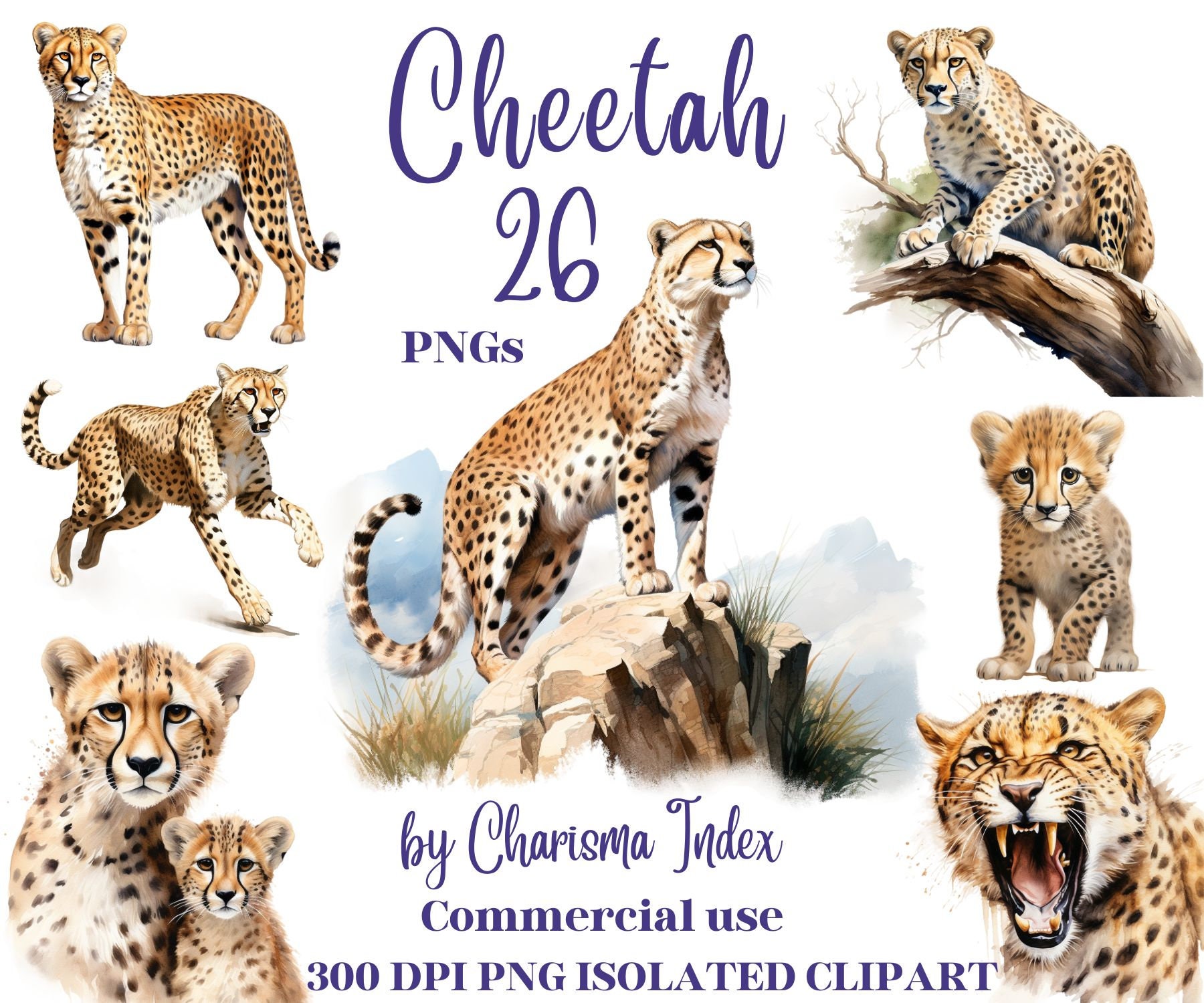 Watercolor Cheetah Clipart Bundle - 26 Realistic PNG Illustrations for ...