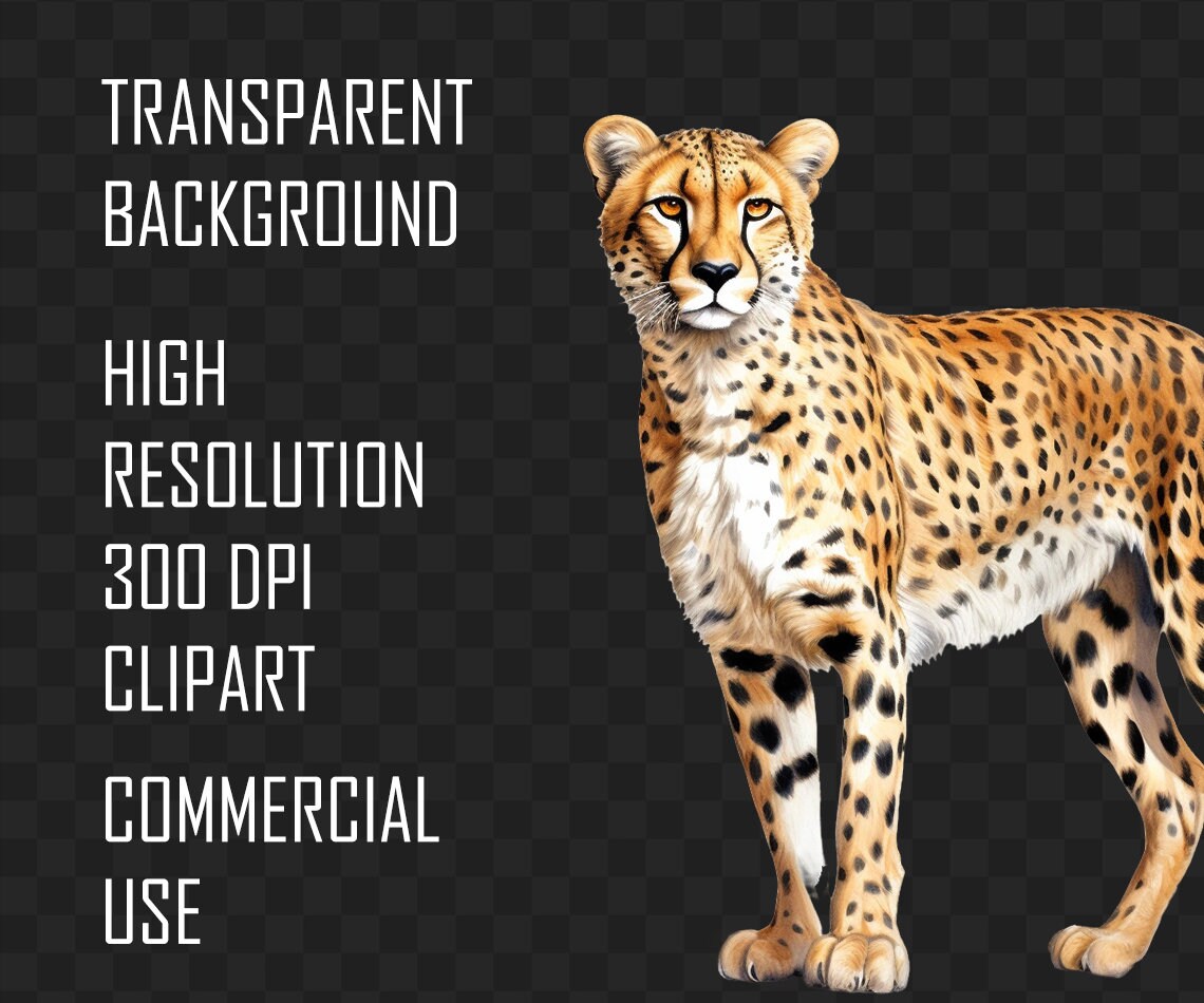 Watercolor Cheetah Clipart Bundle - 26 Realistic PNG Illustrations for ...