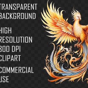 Magical Phoenix Watercolor PNG Set, Mythical Phoenix 30 Clipart Bundle ...
