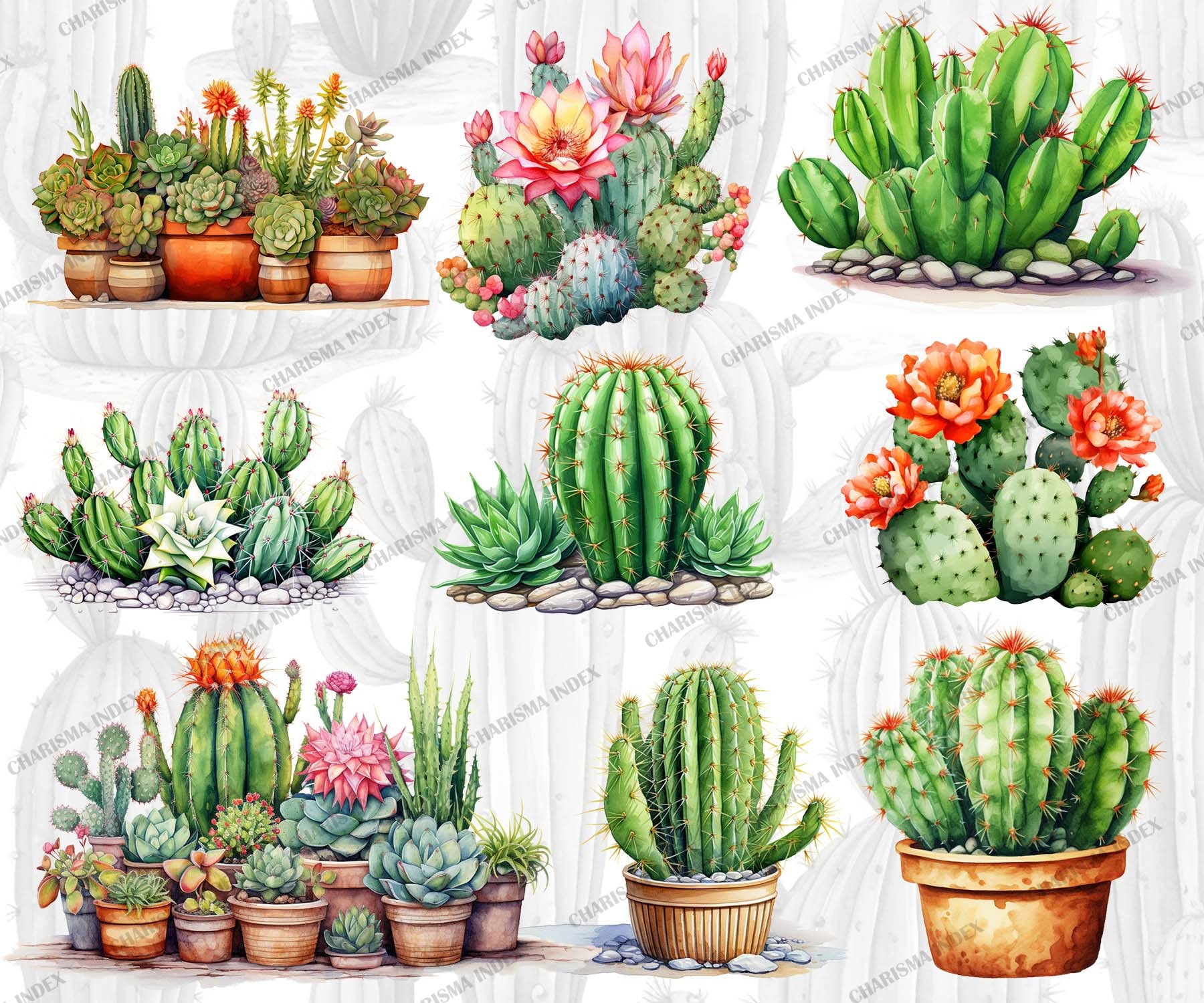 Watercolor Cactus Clipart PNG Set, Cactus Clip Art Bundle, Desert ...