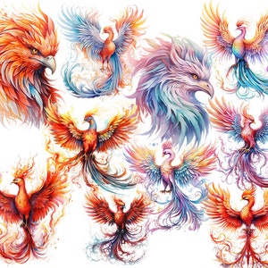 Magical Phoenix Watercolor PNG Set, Mythical Phoenix 30 Clipart Bundle ...