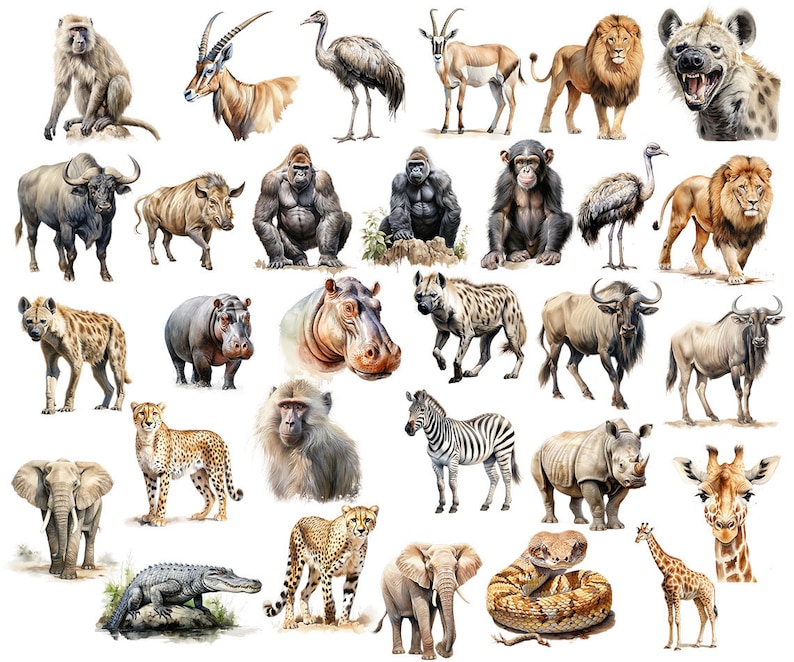 Safari Animal Clip Art Bundle 90 African Wildlife Watercolor Pngs ...