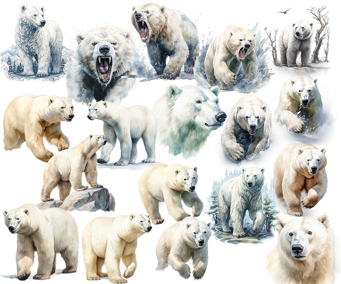 Polar Bear Watercolor Pngs, Arctic Wildlife Clip Art, Polar Bear ...