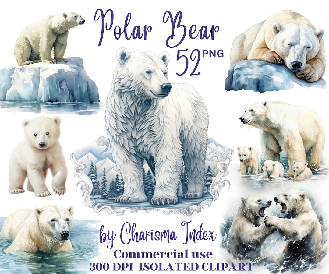 Polar Bear Watercolor Pngs, Arctic Wildlife Clip Art, Polar Bear ...