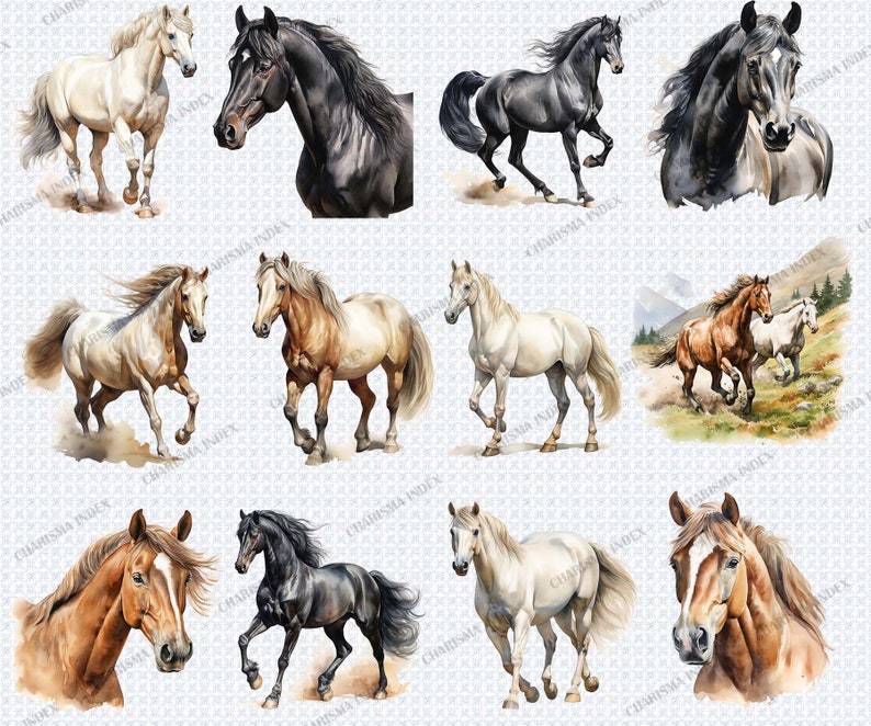 Watercolor Horse PNG Clipart Bundle, Horse Sublimation Designs, Clip ...
