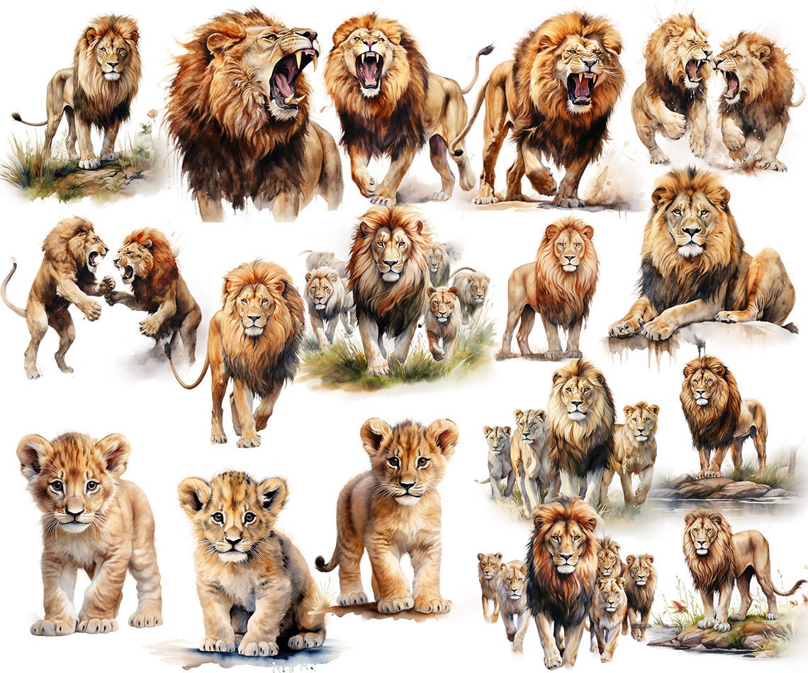 Watercolor Lion Pack PNG, Lion Clipart Bundle, Lion Sublimation Designs ...